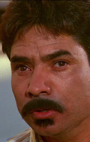 Trinidad Silva - actor - biography, photo, best movies and TV shows