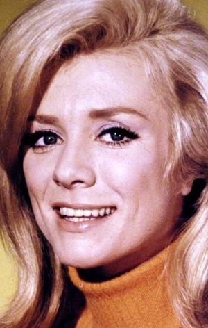 Inger Stevens - actress - biography, photo, best movies and TV shows
