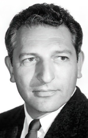 Harold J. Stone - actor - biography, photo, best movies and TV shows