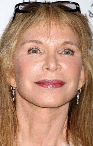 Ann Turkel - actress - biography, photo, best movies and TV shows