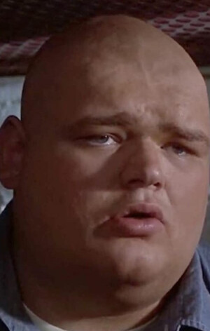 Facts - Erland van Lidth - Wiki: Biography