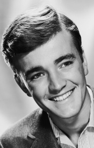 Robert Walker Jr. - actor - biography, photo, best movies and TV shows