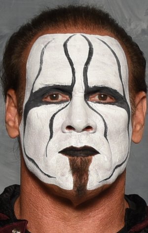 Facts - Steve Borden - Wiki: Biography