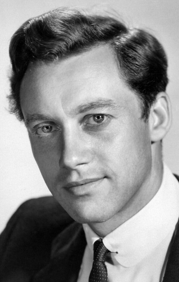 Don Dubbins - actor - biography, photo, best movies and TV shows