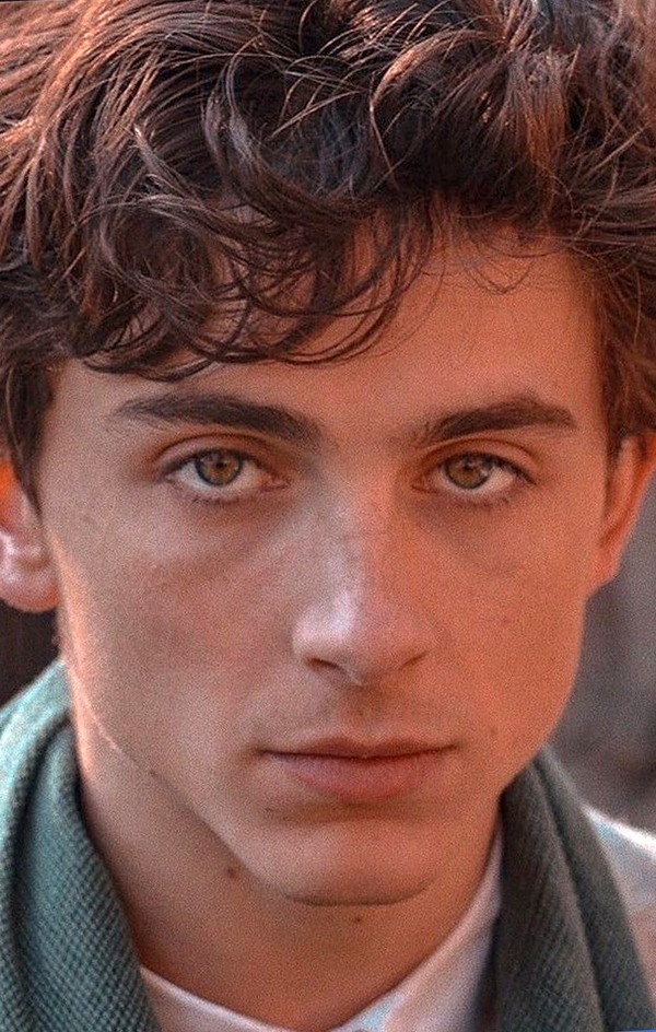 Facts - Timothée Chalamet - Wiki: Biography