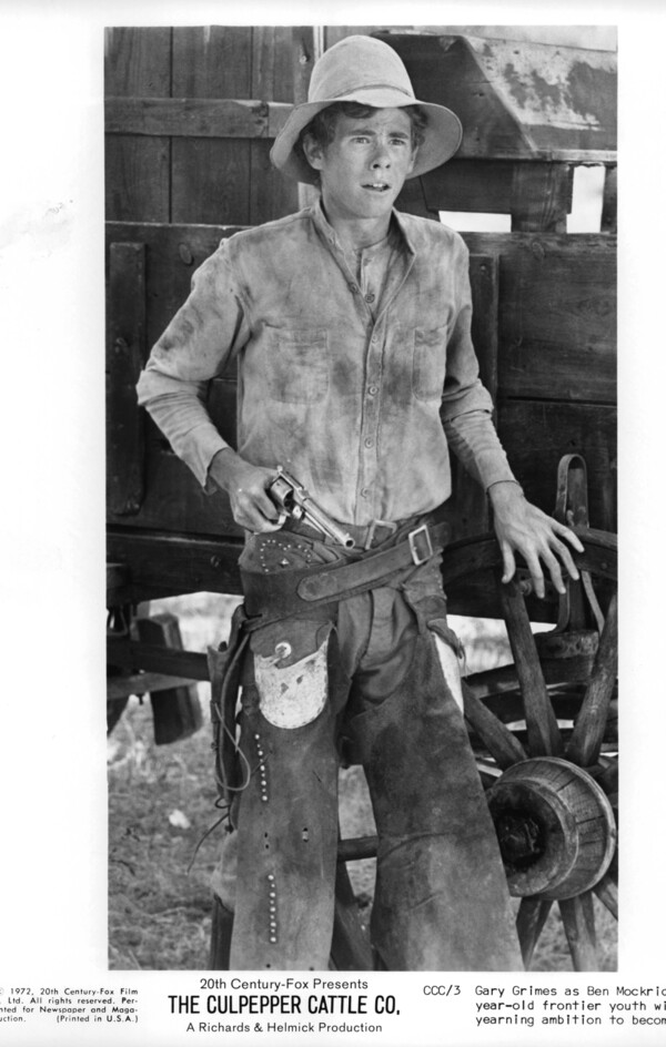 Gary Grimes - actor - biography, photo, best movies and TV shows