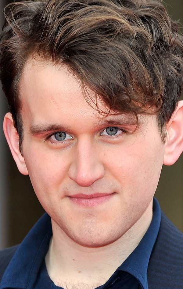 Harry Melling - actor - biography, photo, best movies and TV shows