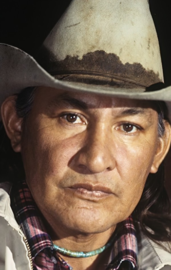 Will Sampson - actor - biography, photo, best movies and TV shows
