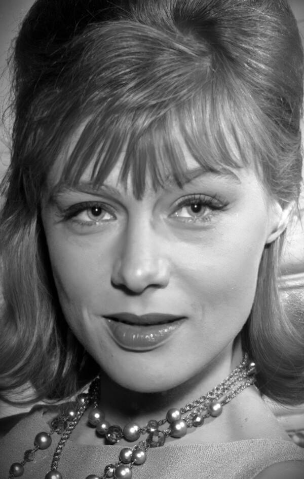 Nita Talbot - actress - biography, photo, best movies and TV shows