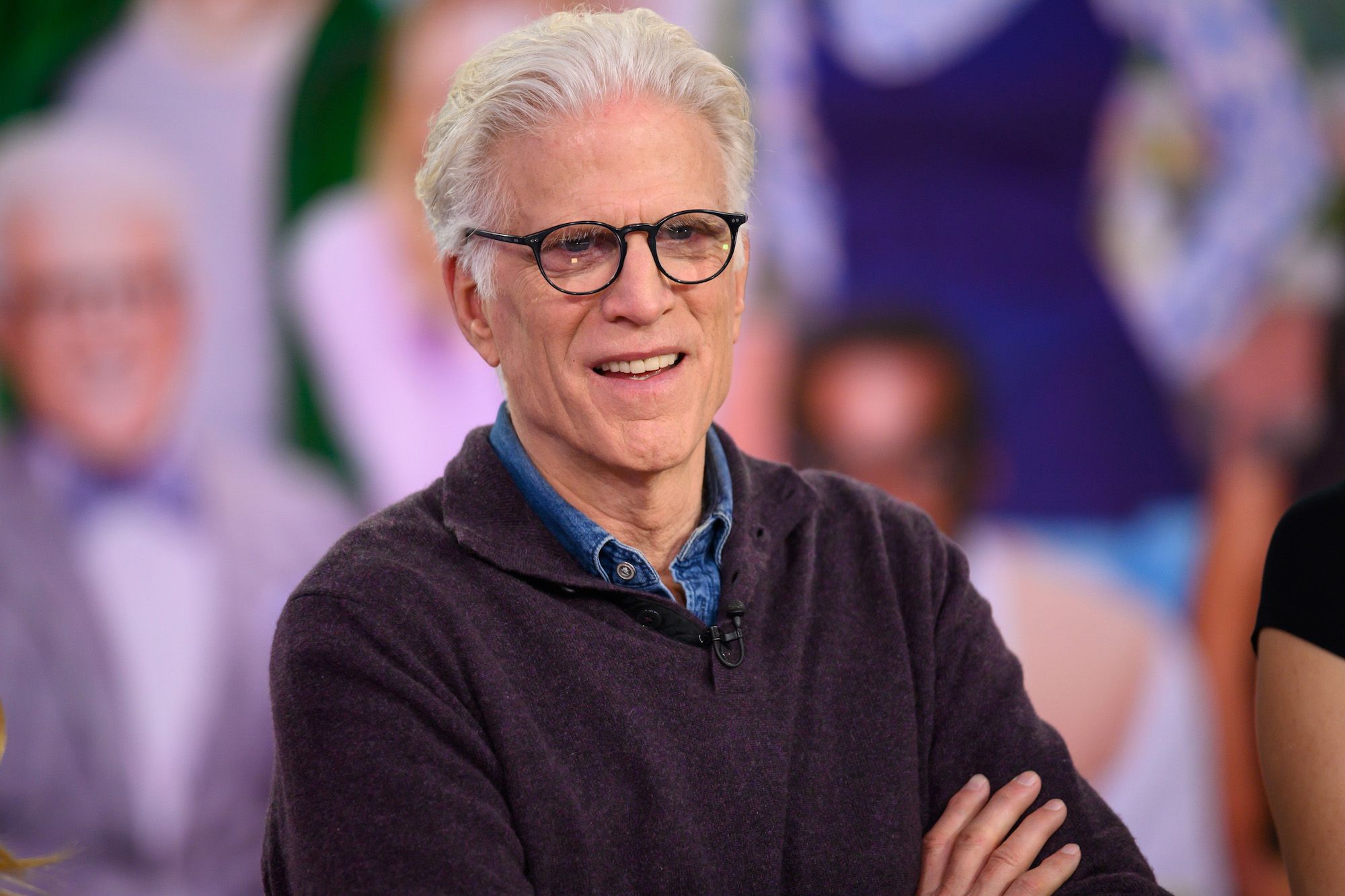 Ted Danson - actor, producer - biography, photo, best movies and TV shows