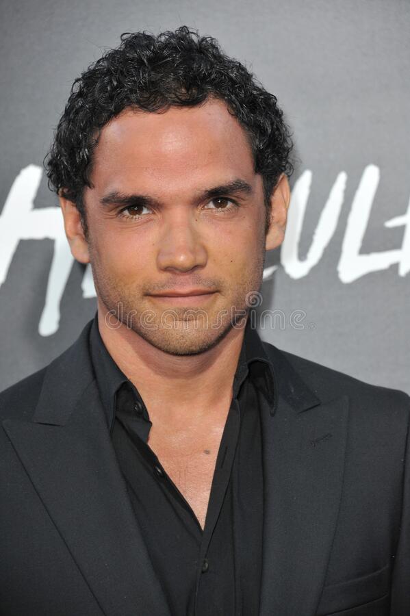 Reece Ritchie - actor - biography, photo, best movies and TV shows