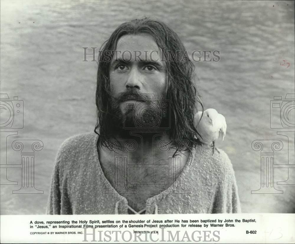 Brian Deacon - actor - biography, photo, best movies and TV shows