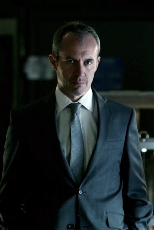 Stephen Dillane - actor - biography, photo, best movies and TV shows