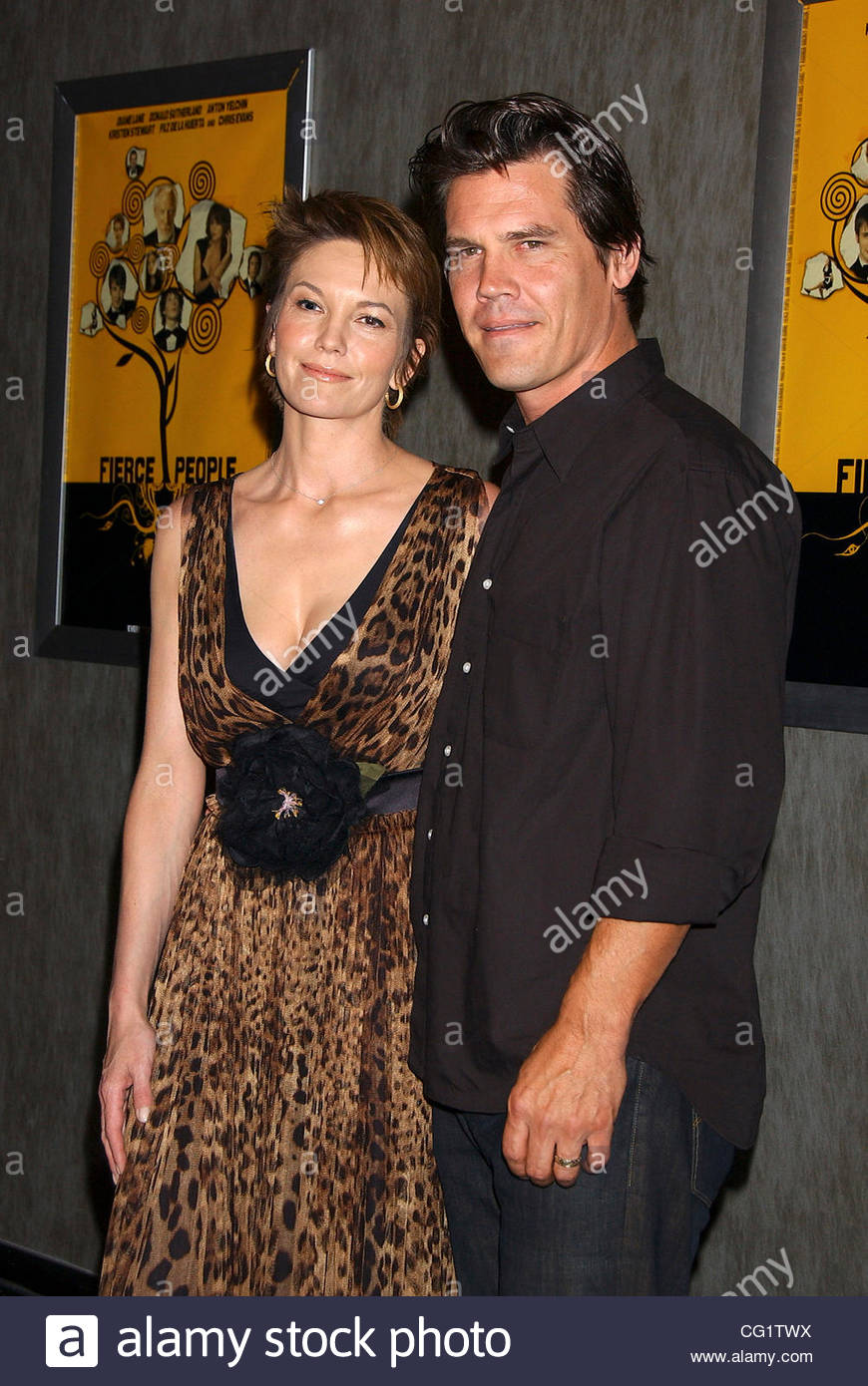 Diane Lane - actress - biography, photo, best movies and TV shows