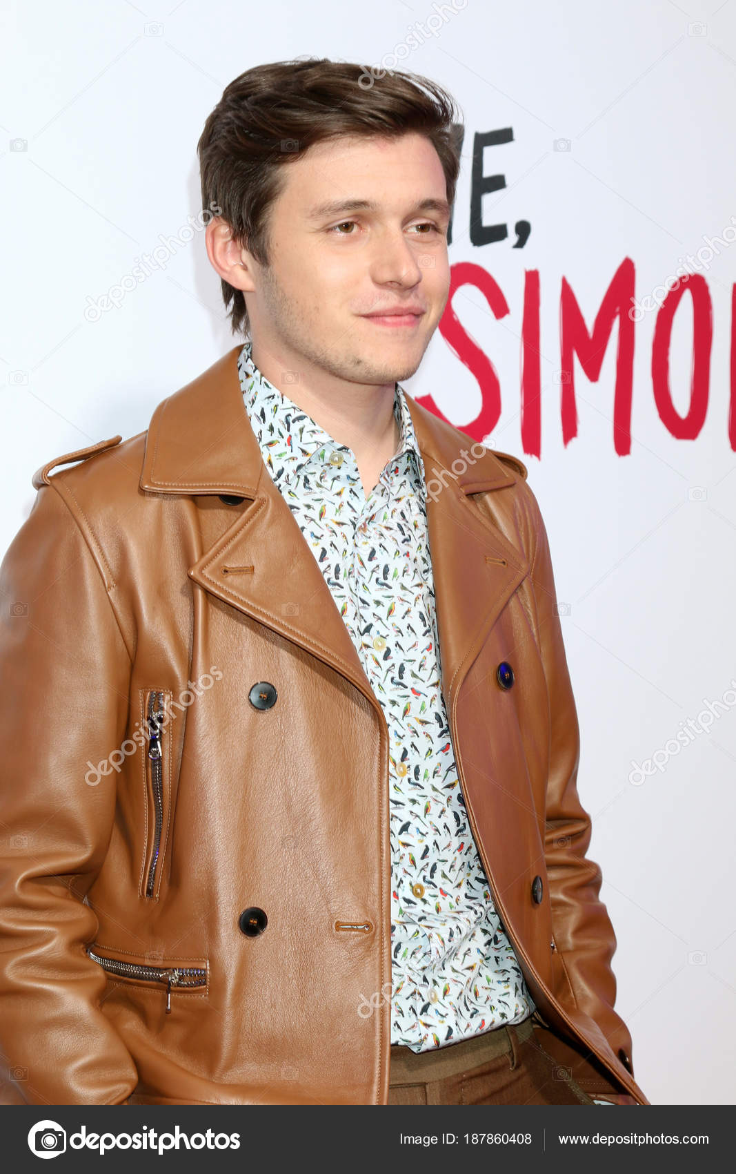 Nick Robinson - actor - biography, photo, best movies and TV shows