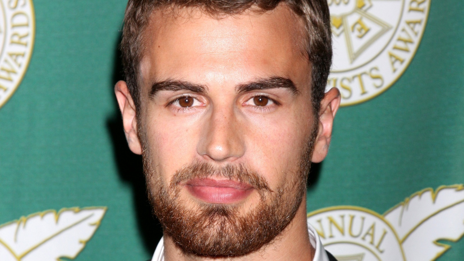 Theo James - actor, producer - biography, photo, best movies and TV shows