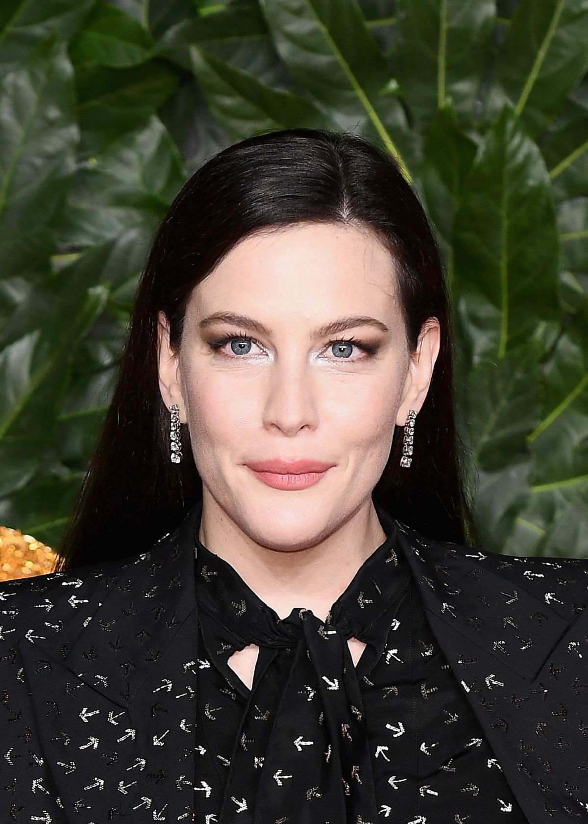 Liv Tyler - actress, producer - biography, photo, best movies and TV shows