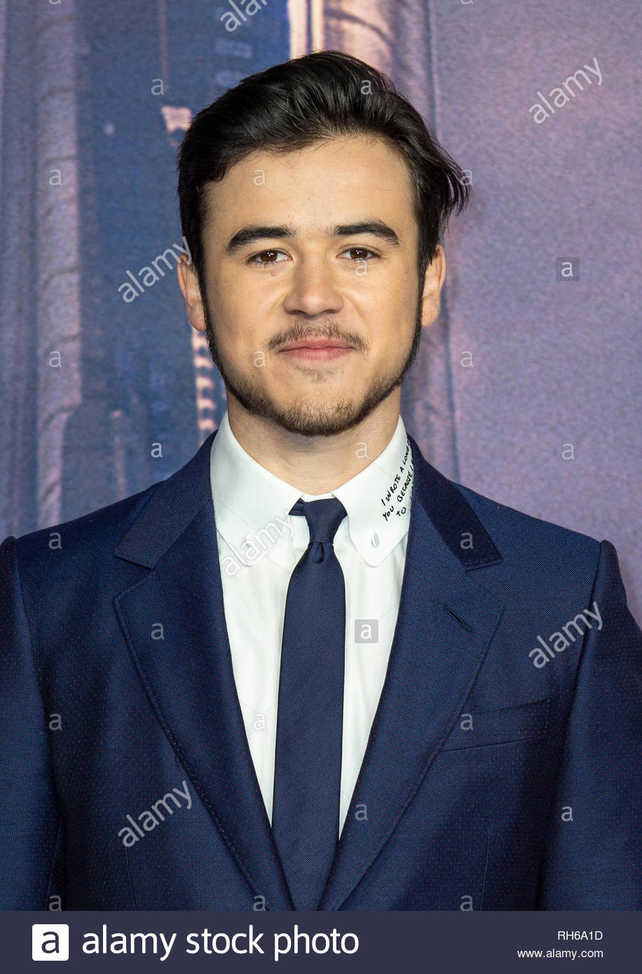 Keean Johnson - actor - biography, photo, best movies and TV shows