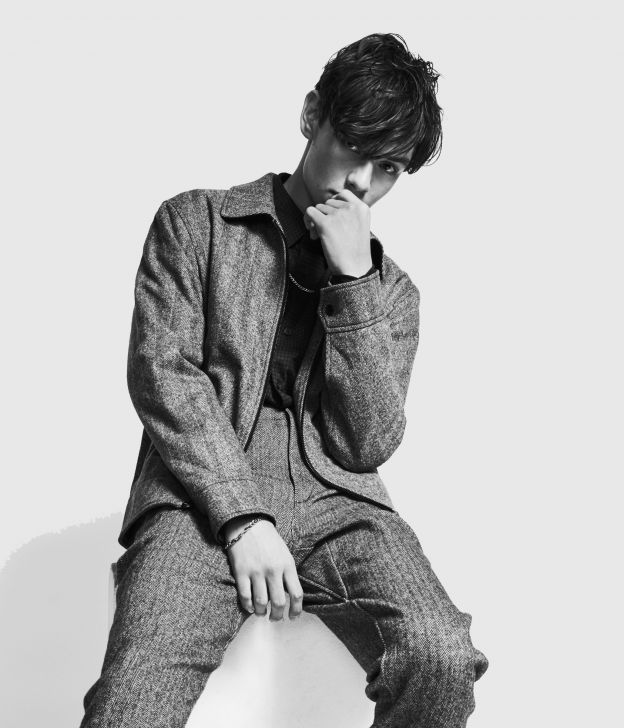 Louis Partridge - actor - biography, photo, best movies and TV shows