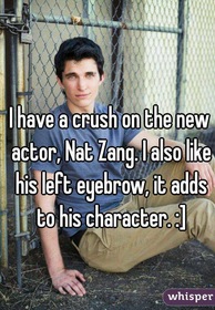 Nat Zang - actor, producer - biography, photo, best movies and TV shows