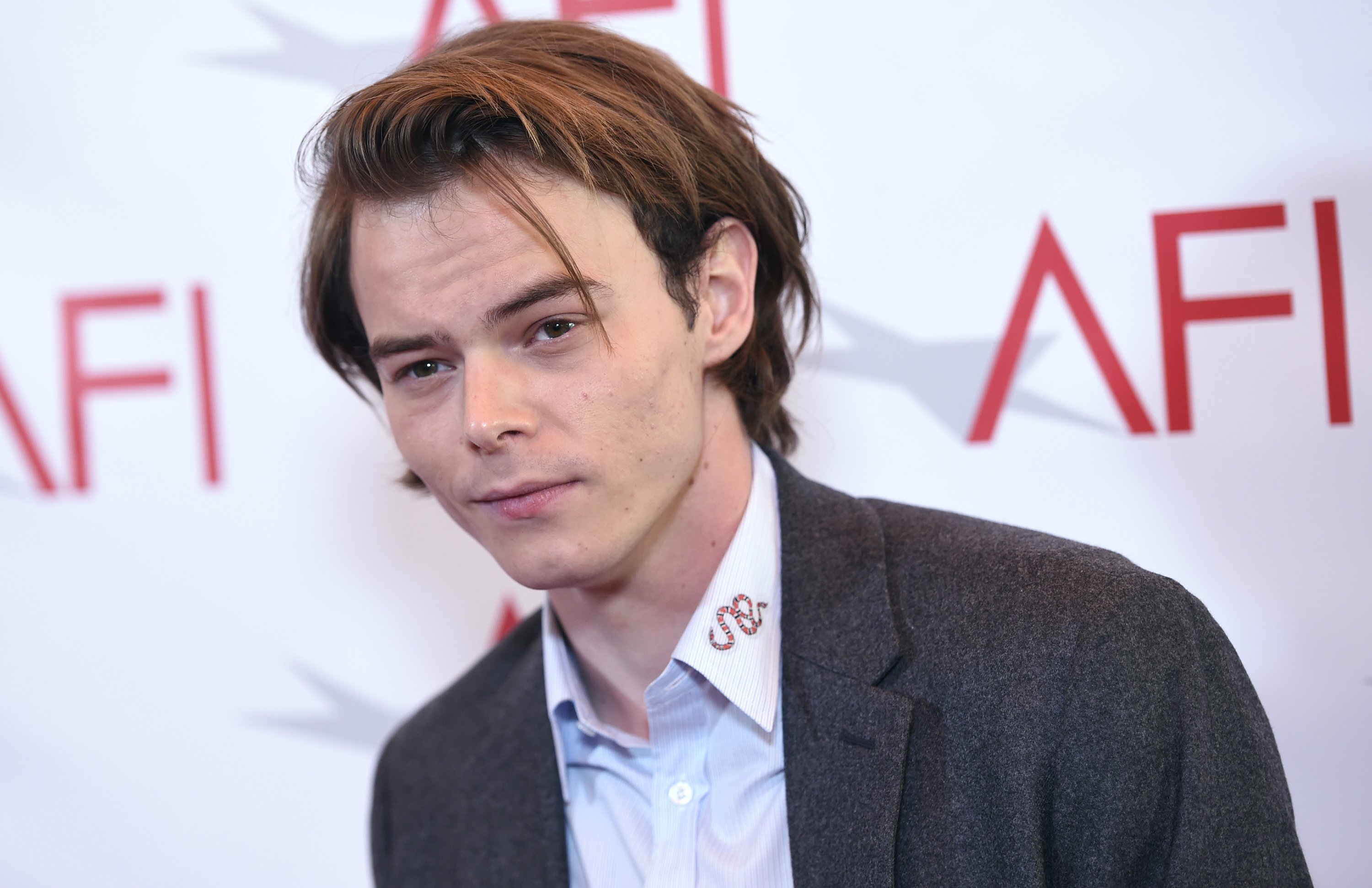 Charlie Heaton - actor - biography, photo, best movies and TV shows