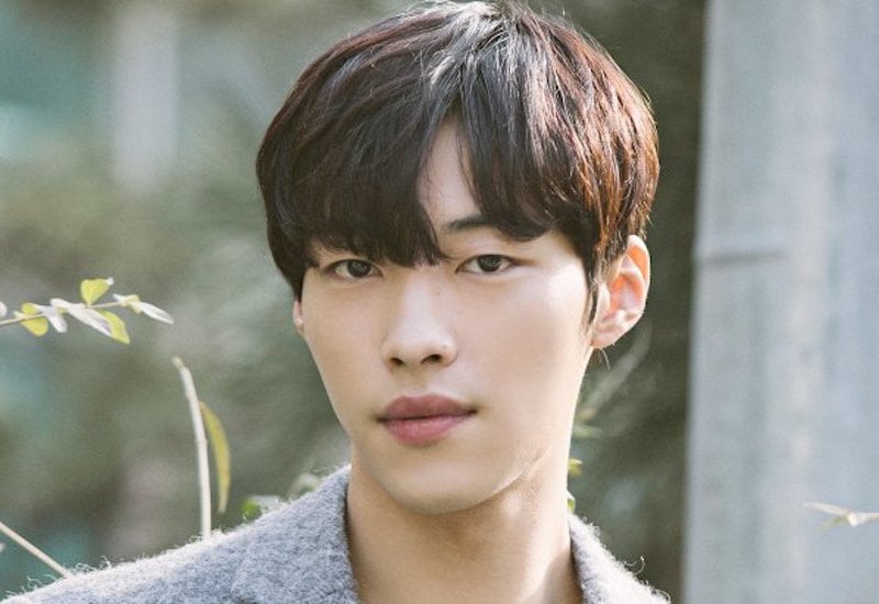 Woo Do-Hwan - actor - biography, photo, best movies and TV shows