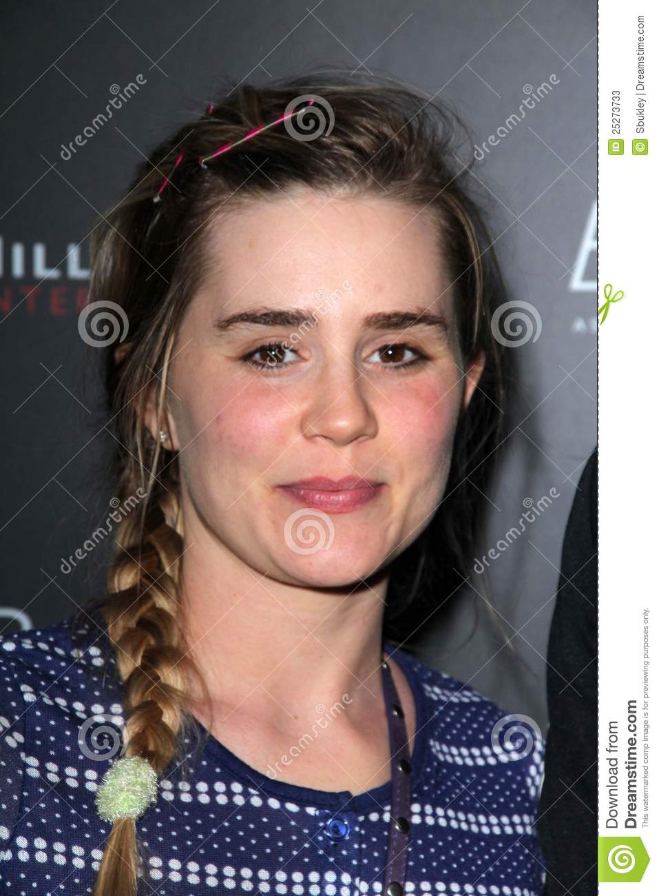 Alison Lohman - actress - biography, photo, best movies and TV shows