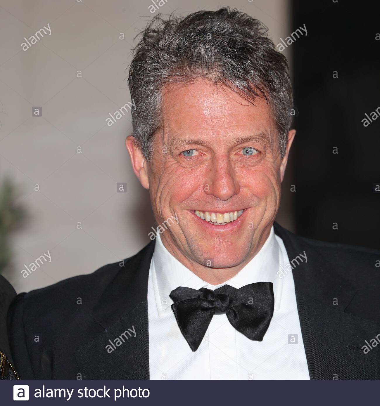 Hugh Grant - actor - biography, photo, best movies and TV shows