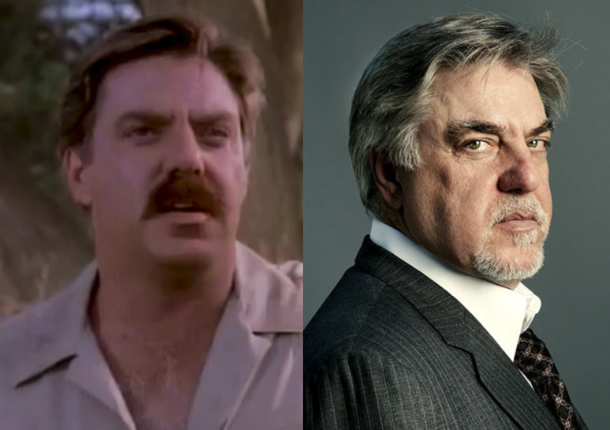 Bruce McGill - actor - biography, photo, best movies and TV shows