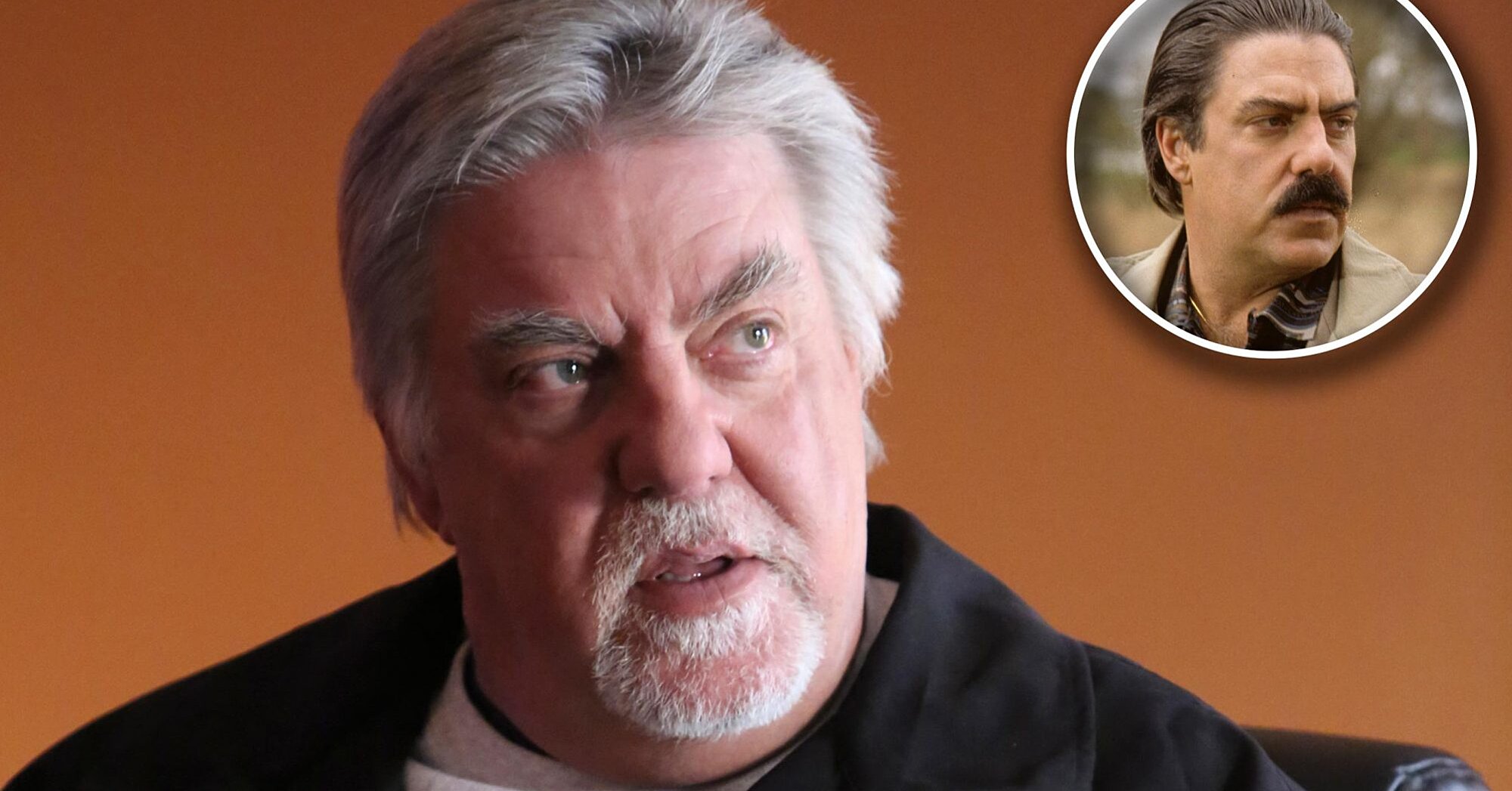 Bruce McGill - actor - biography, photo, best movies and TV shows