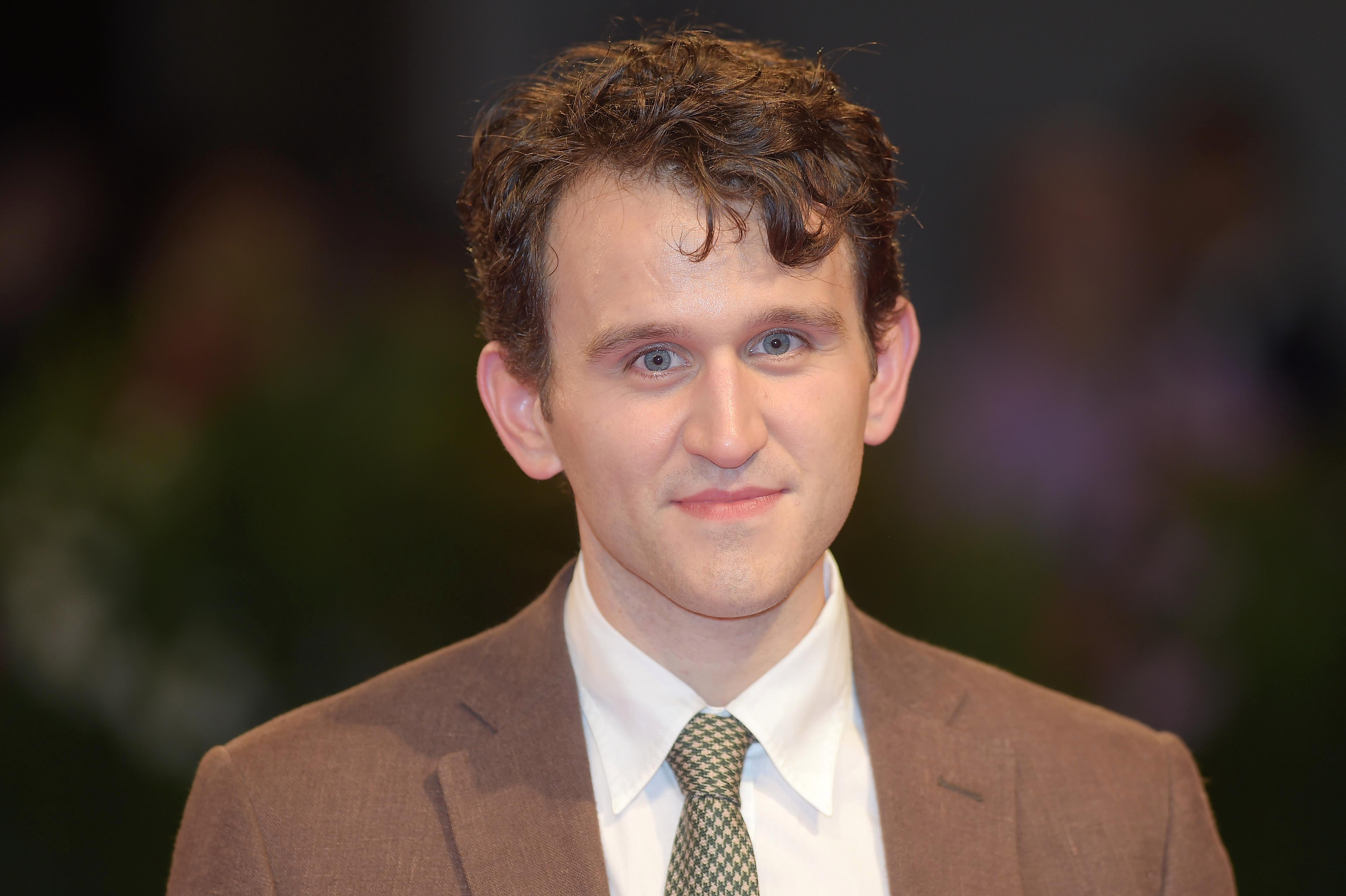 Harry Melling - actor - biography, photo, best movies and TV shows