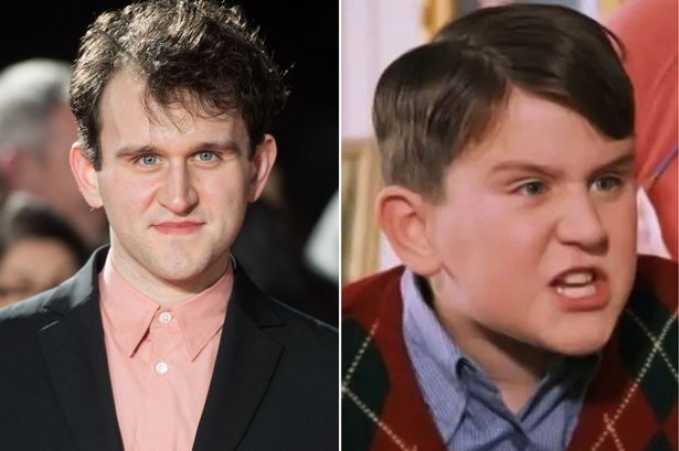 Harry Melling - actor - biography, photo, best movies and TV shows