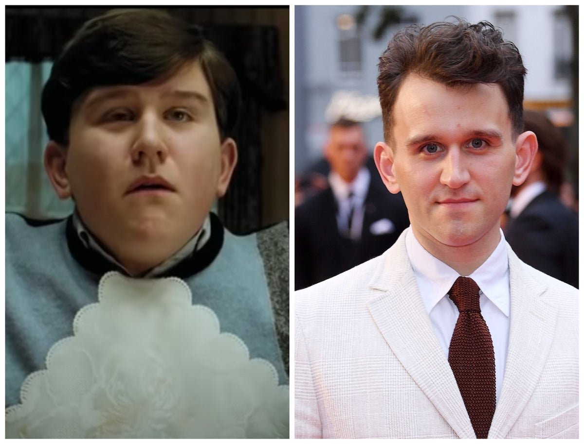 Harry Melling - actor - biography, photo, best movies and TV shows