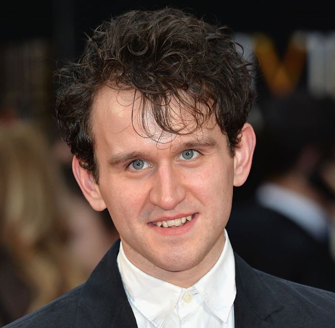 Harry Melling - actor - biography, photo, best movies and TV shows
