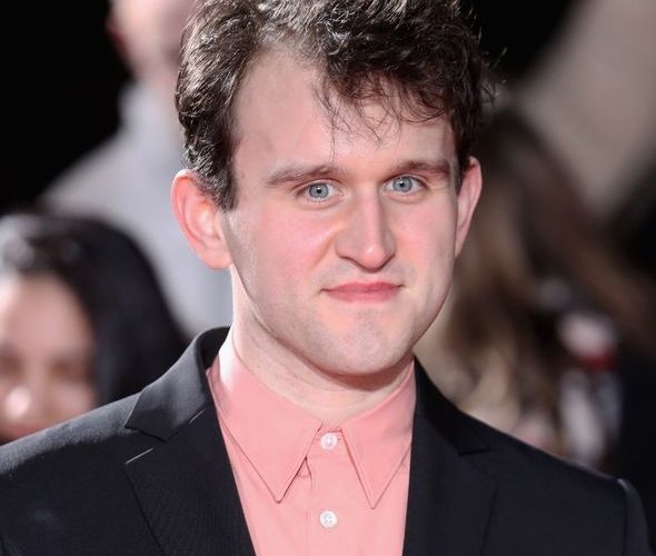 Harry Melling - actor - biography, photo, best movies and TV shows