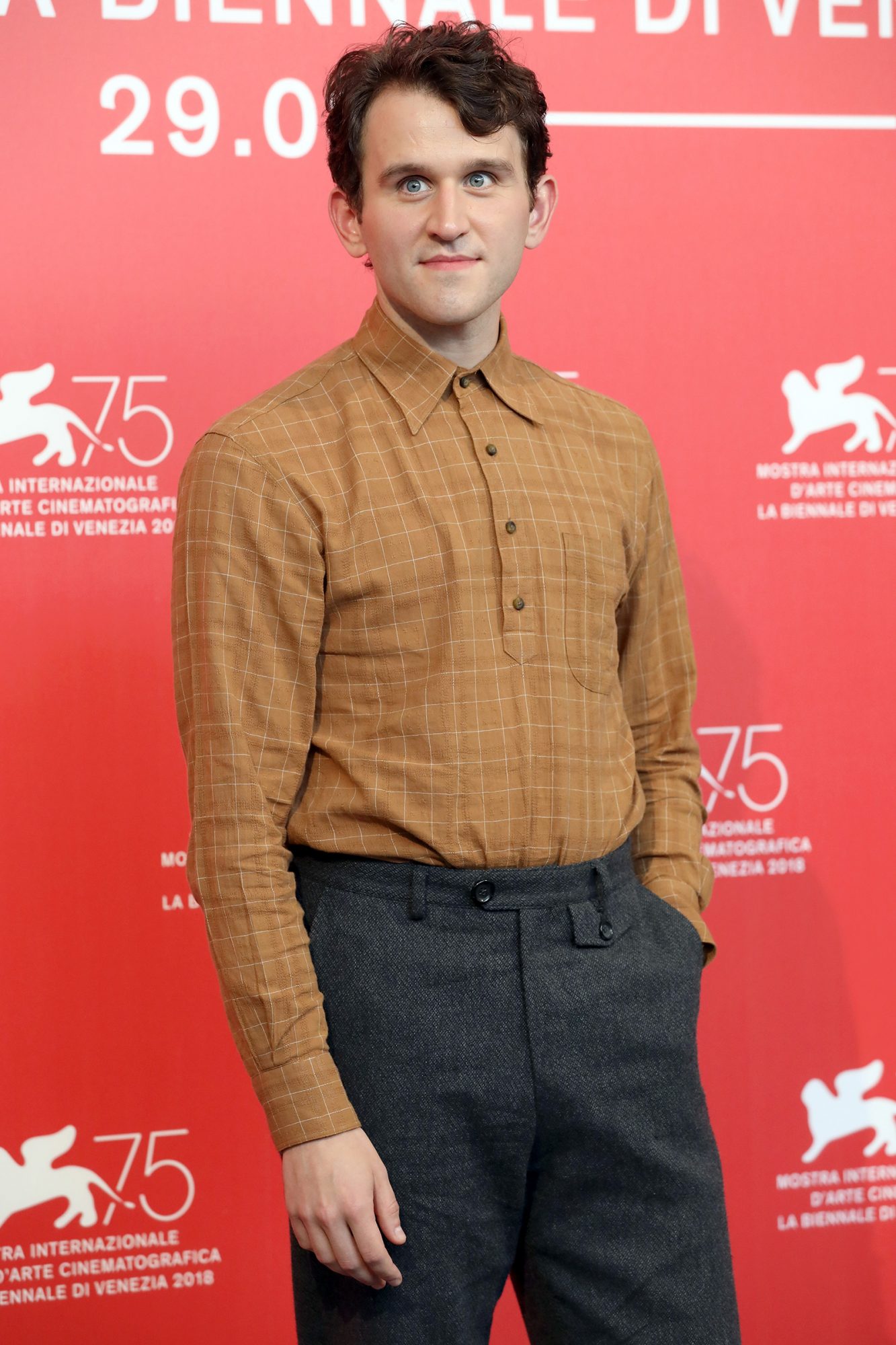 Harry Melling - actor - biography, photo, best movies and TV shows