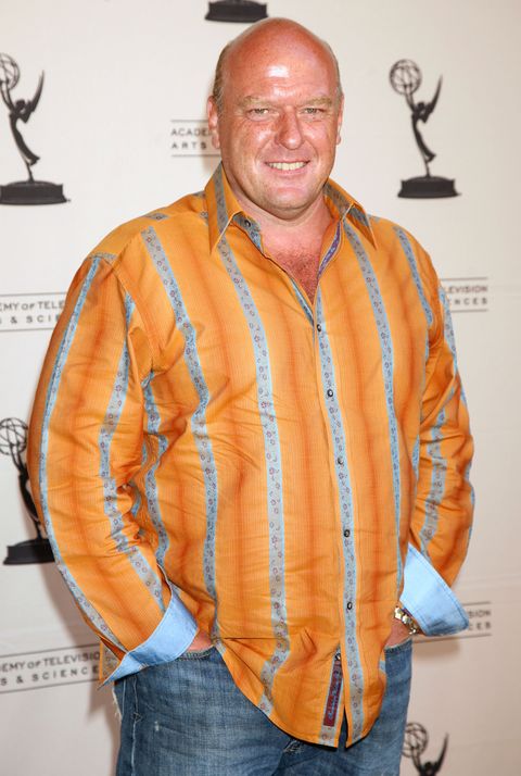Dean Norris - actor, producer - biography, photo, best movies and TV shows