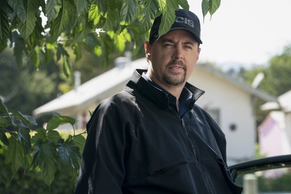 Sean Murray - actor - biography, photo, best movies and TV shows