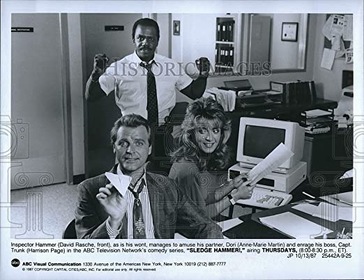 David Rasche - actor - biography, photo, best movies and TV shows