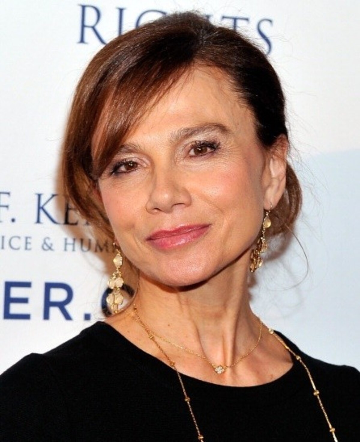 Lena Olin - actress - biography, photo, best movies and TV shows