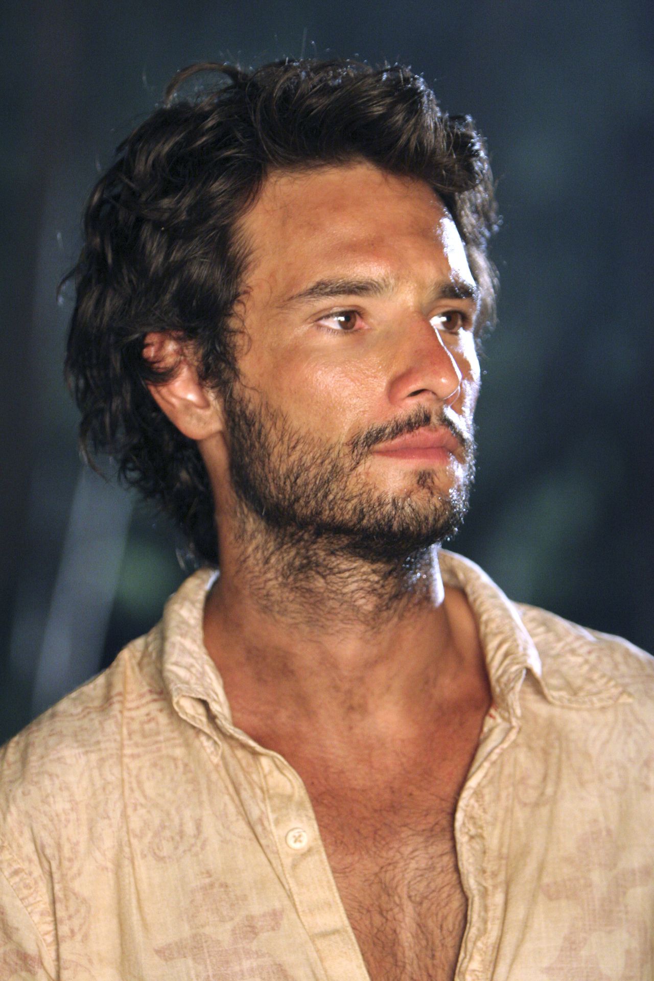 Rodrigo Santoro - actor - biography, photo, best movies and TV shows