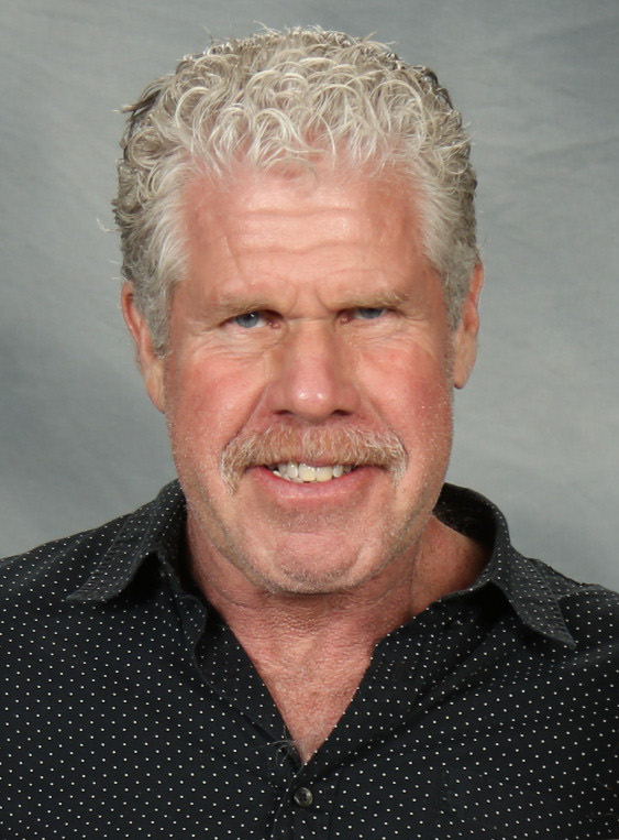 Ron Perlman - actor, producer, director, writer, dubbing: english