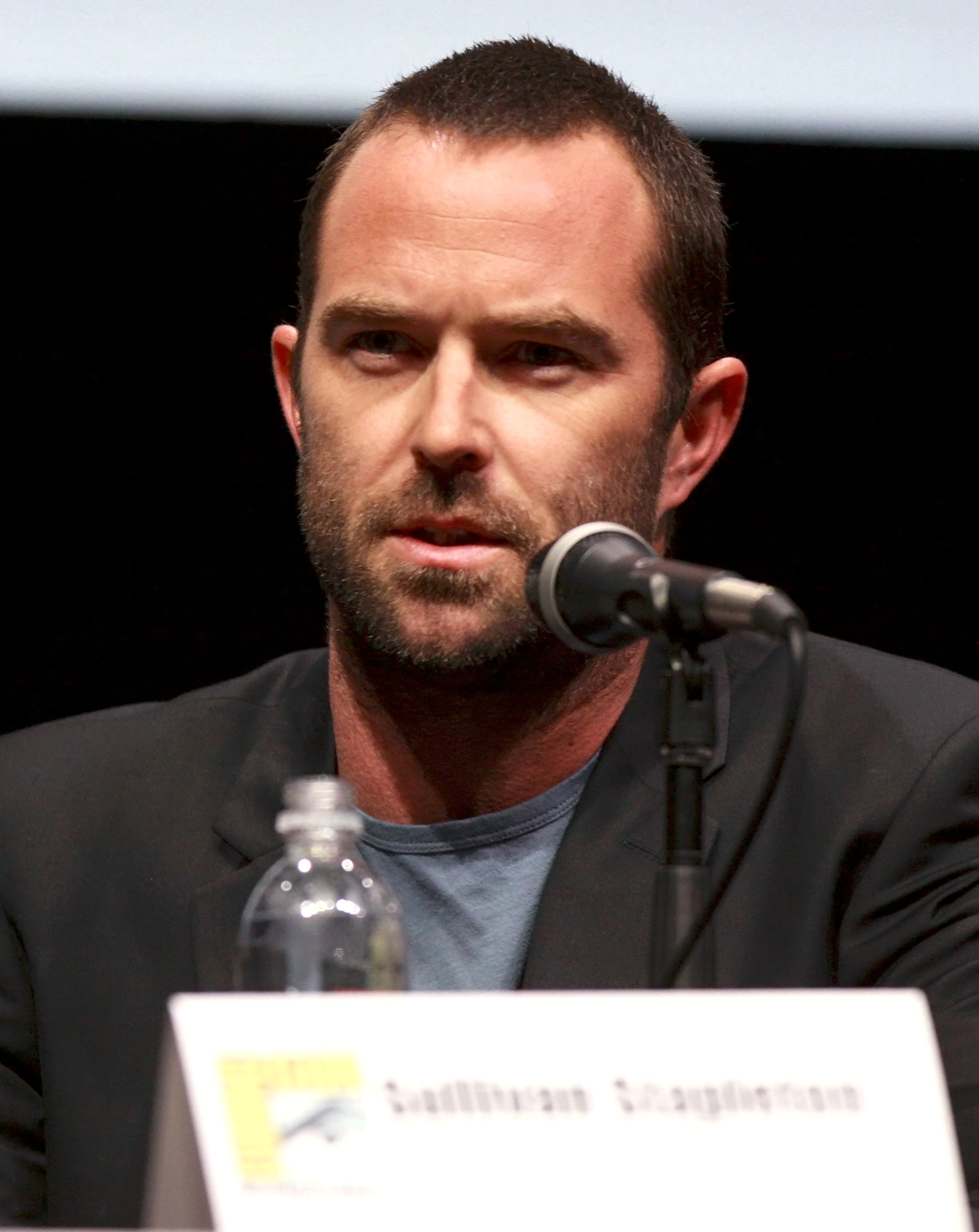 Sullivan Stapleton - actor, producer