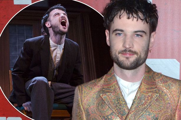 Tom Sturridge - actor - biography, photo, best movies and TV shows
