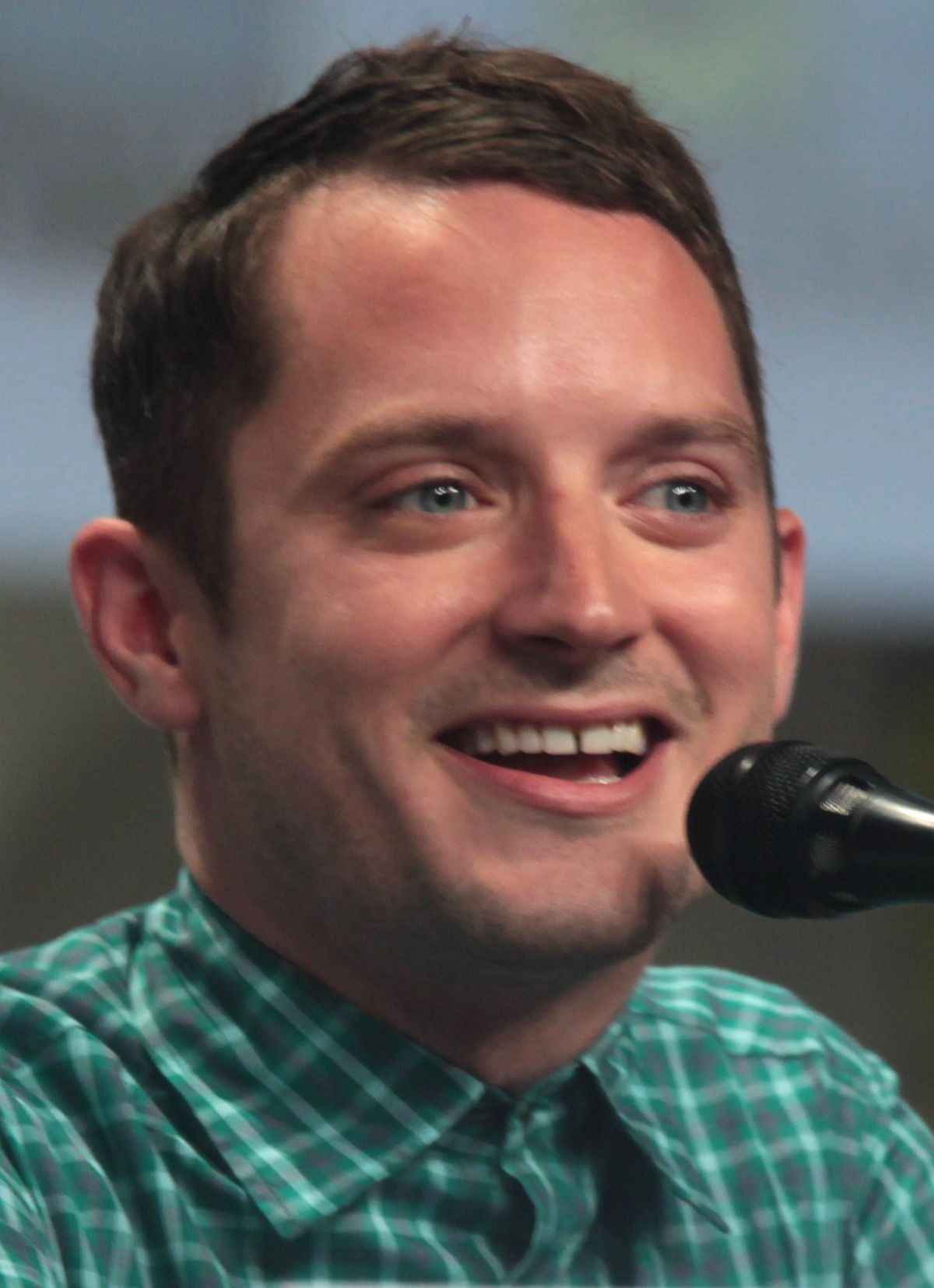 Elijah Wood - actor, producer - biography, photo, best movies and TV shows