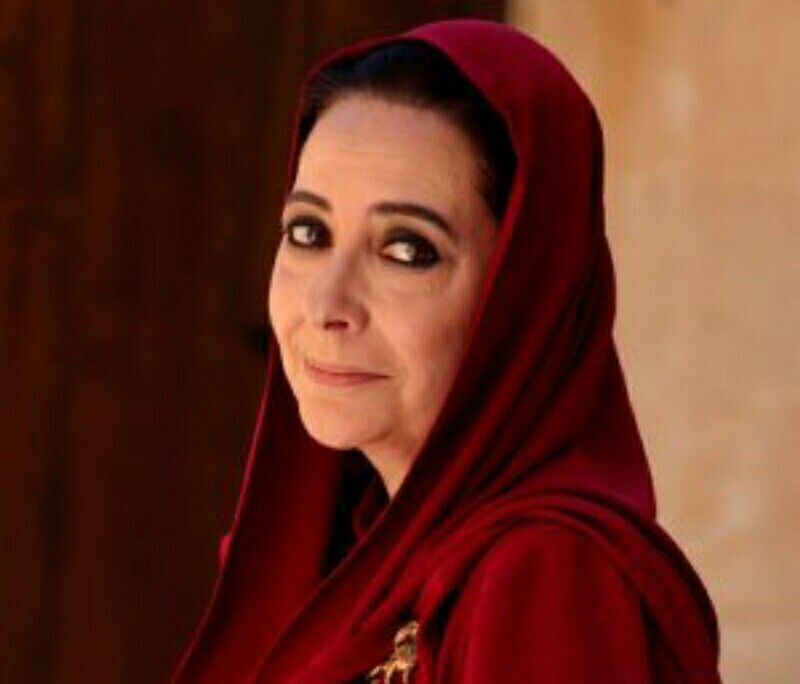 Ayda Aksel - actress - biography, photo, best movies and TV shows