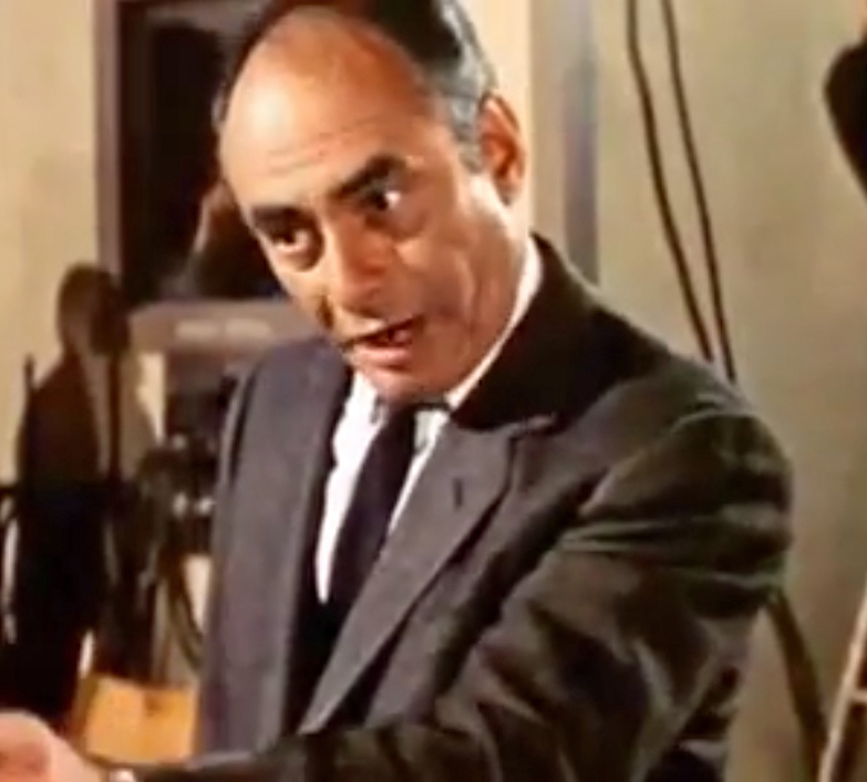Martin Balsam - actor - biography, photo, best movies and TV shows