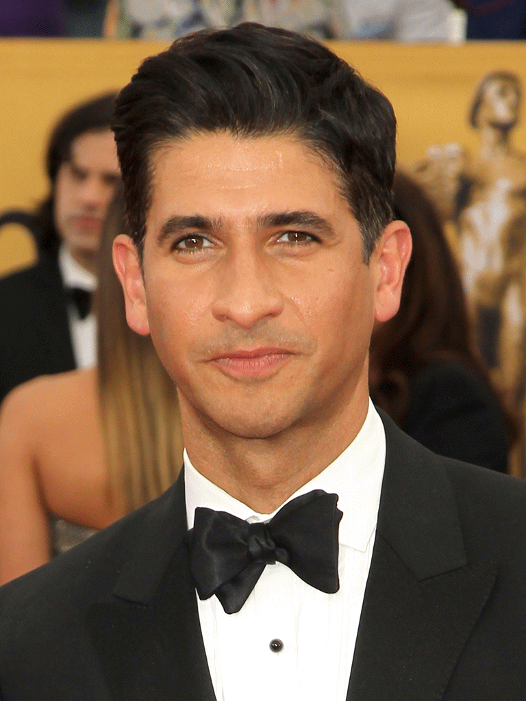 Raza Jaffrey - actor - biography, photo, best movies and TV shows