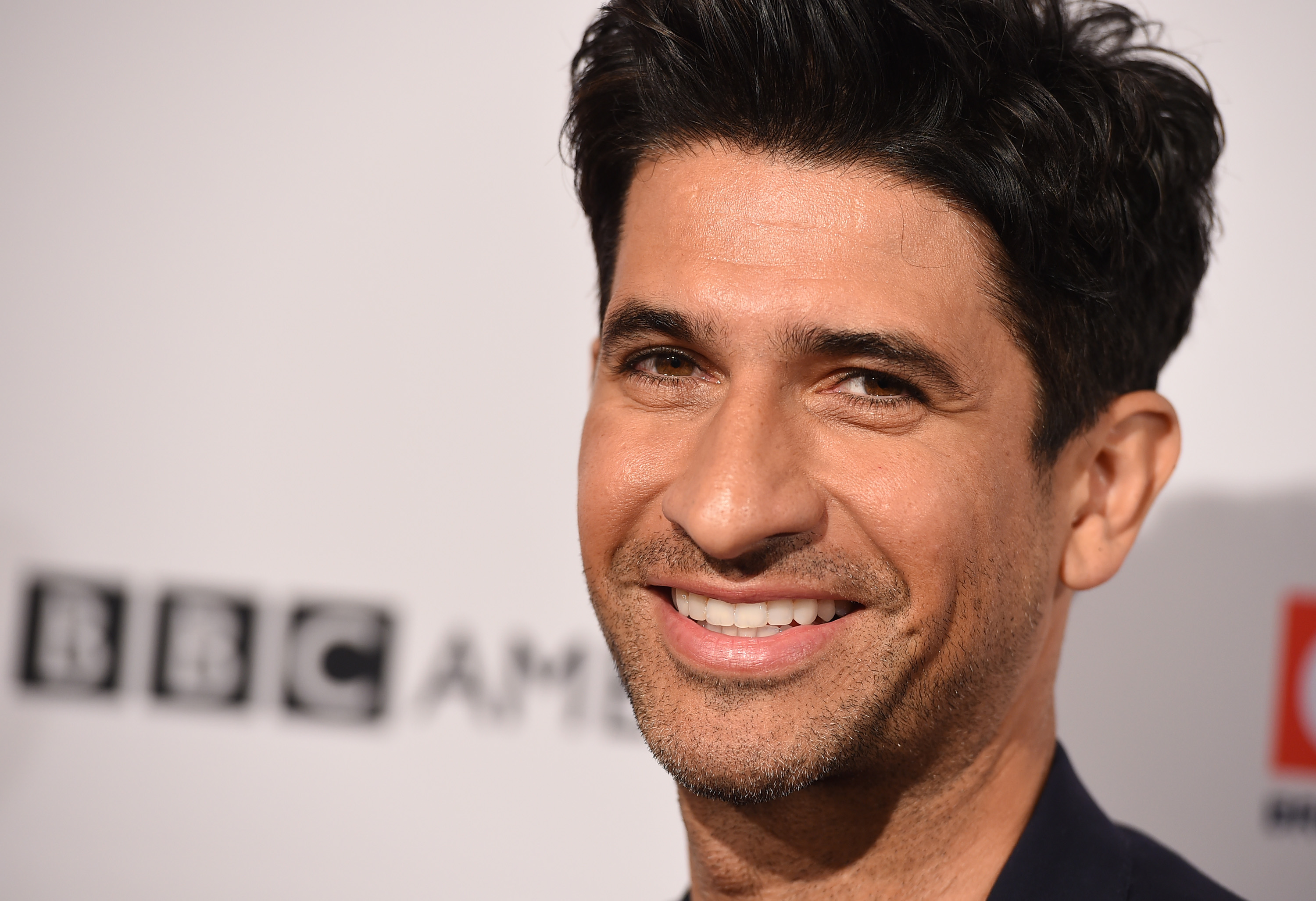 Raza Jaffrey - actor - biography, photo, best movies and TV shows