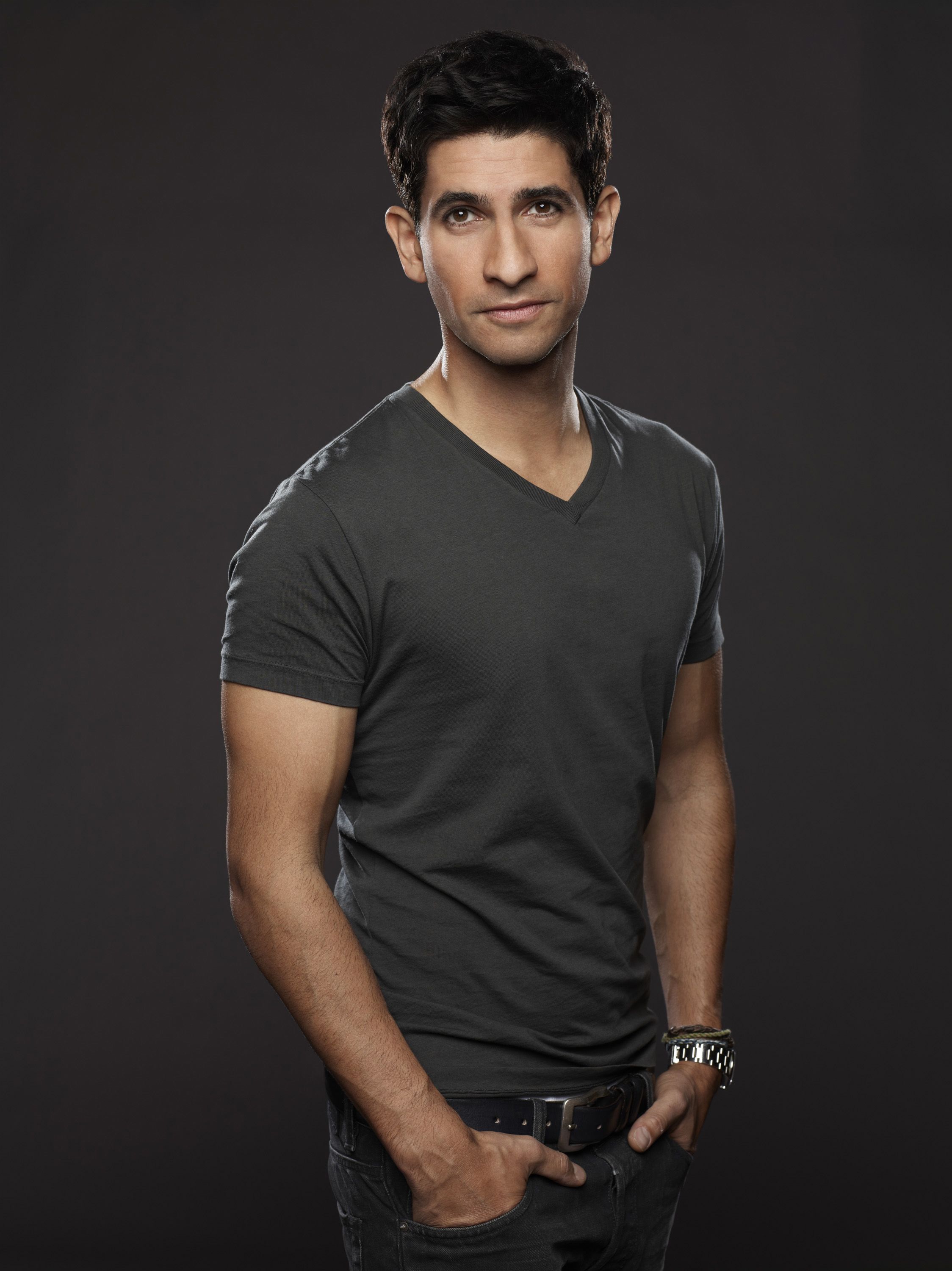 Raza Jaffrey - actor - biography, photo, best movies and TV shows